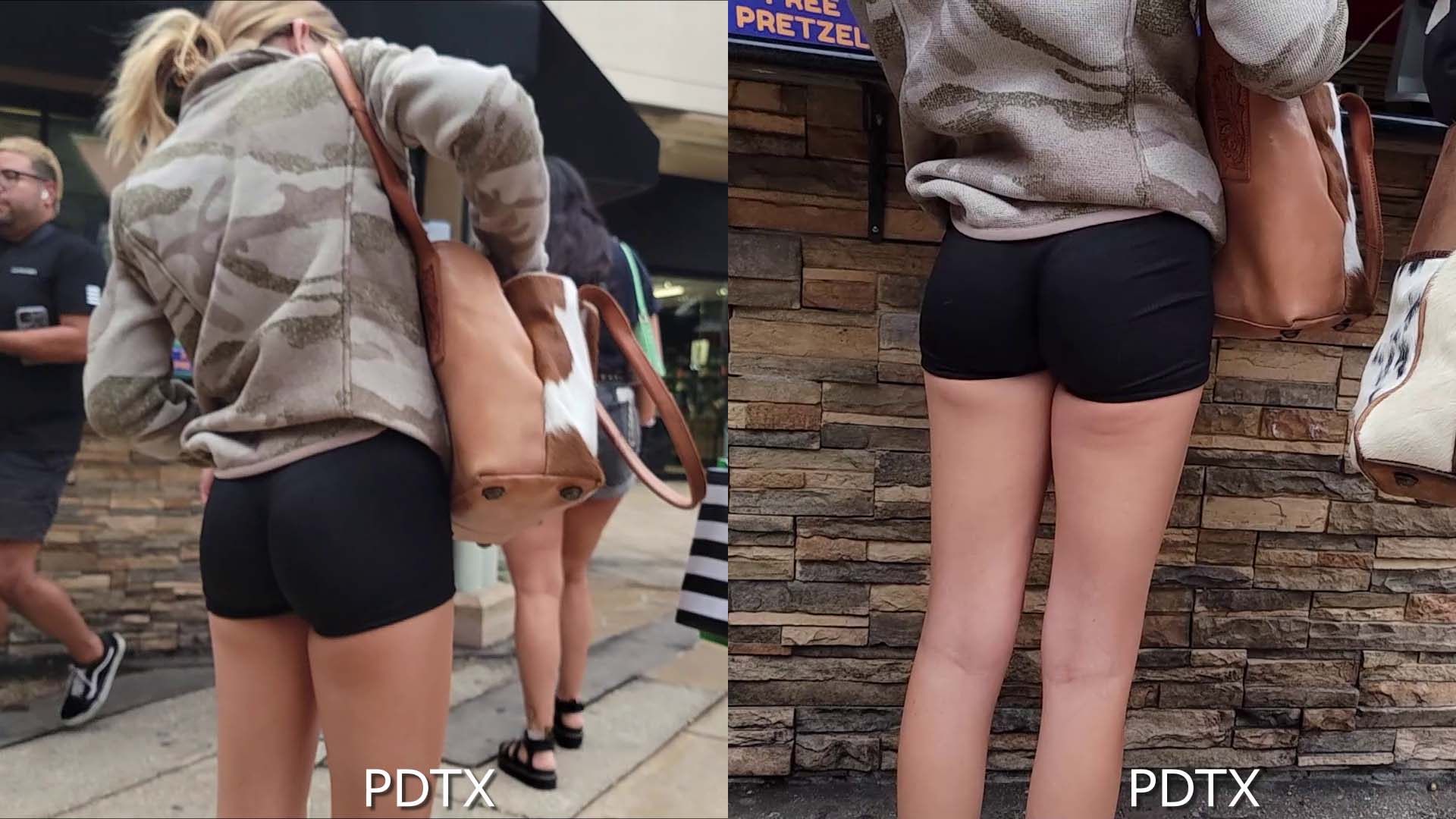 PDTX Daily catch - Candid Best Premium